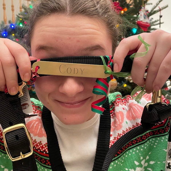 Custom Solid Brass Halter Plate Engraved and Personalized for Your ...