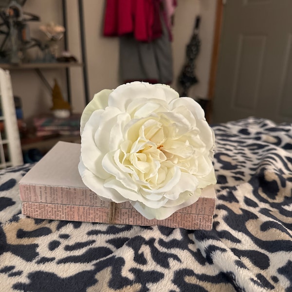 Rustic Decorative Book Set in Dusty Rose and Beige - Etsy