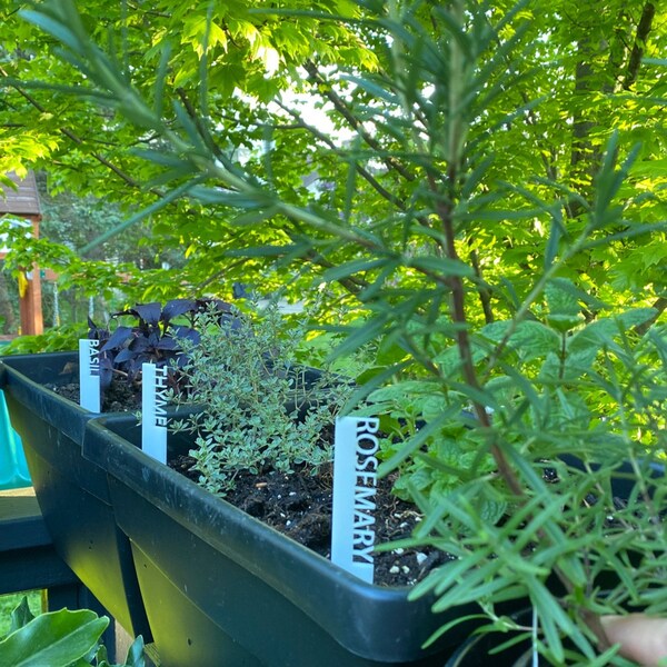 Basketball Arena Map Custom Bucket List Map NBA Arenas Gift for ...