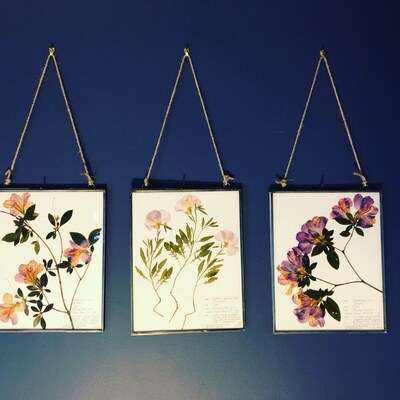 Azalea Print Pressed Plant Art Modern Decor Botanical Print Pressed ...