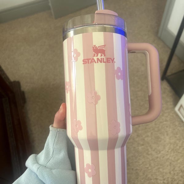 Snoopy Stanley 40oz Cup, Peanuts, Charlie Brown, Baby Snoopy, Kawaii ...