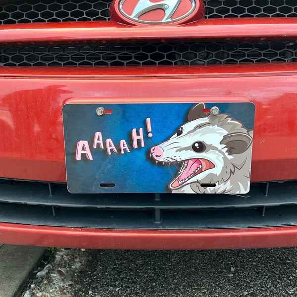 Funny Possum License Plate • Screaming Possum License Plate • Possum ...