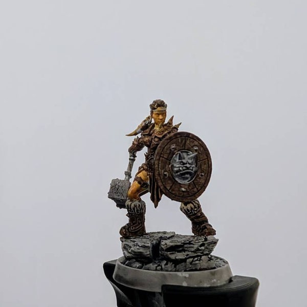 D&D Human Fighter/paladin | Standard Bearer | 3D Printed Resin ...