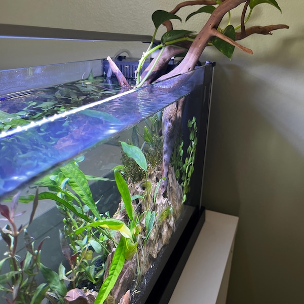 Aquarium Driftwood , Fish Tank Wood, Biophilic Design, Natural Home ...
