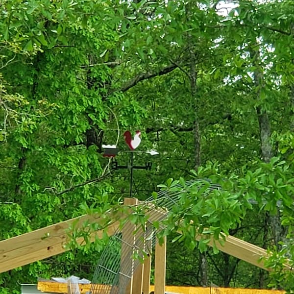 The Lazy Scroll Rooster Chicken Roof Mounted Weathervane Black Wrought ...