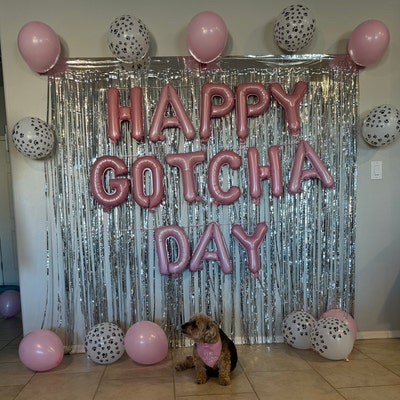 Ball-less & Flawless Dog Bandana, Funny Dog Bandana, Neuter Bandana ...