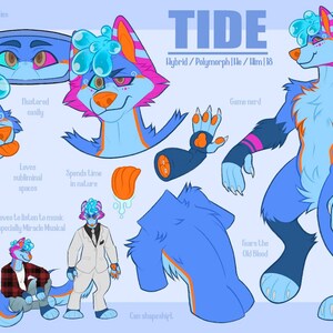 Complex Furry / Fursona Reference Sheet - Etsy