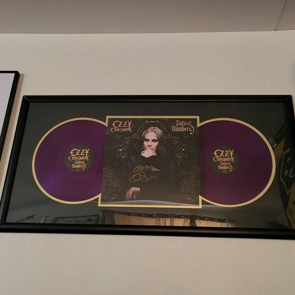 Picture Framing Mat NOT A FRAME #20Z for Two LP Records and Album Cover ...