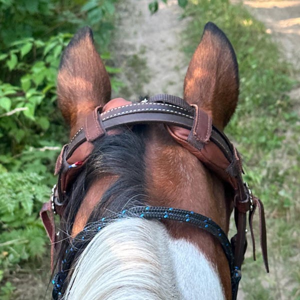 Customizable Poll Pad Relieving the Cervical Spine, Adaptable to ...