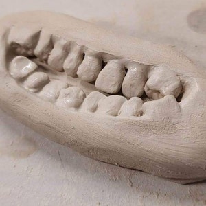 Imitation Human Teeth Tooth Teeth Silicone Mold Teeth Mold - Etsy