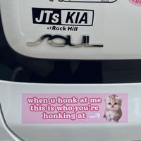 New Driver Pls Be Nice Sad Hamster Car Bumper Sticker Crying Funny Cute ...