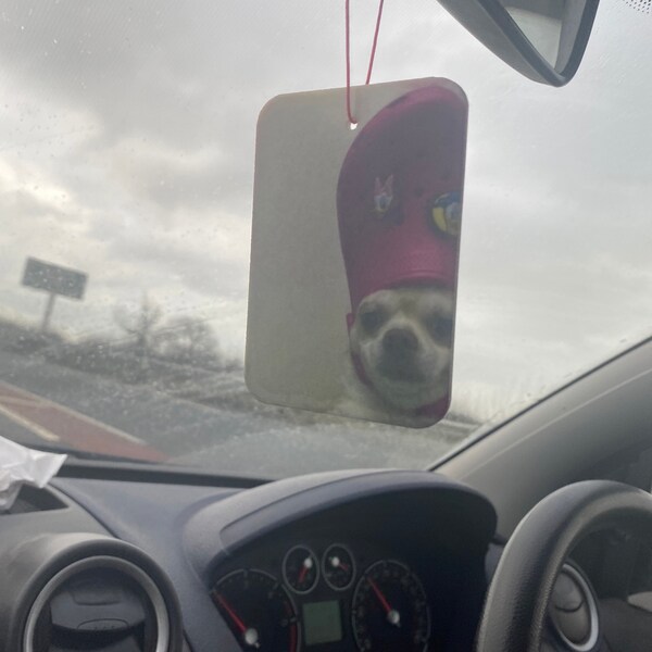 Croc Dog meme auto luchtverfrisser - grappige auto luchtverfrisser ...