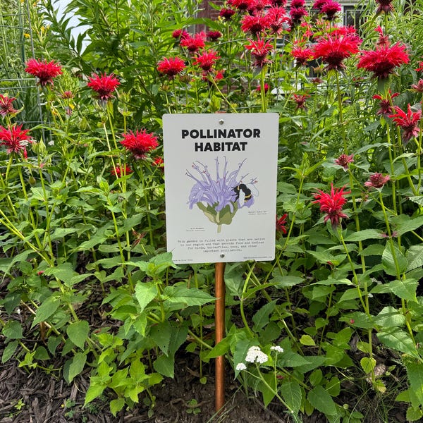 Native Plant Garden Sign | Pollinator Habitat Sign | Pollinator Garden ...
