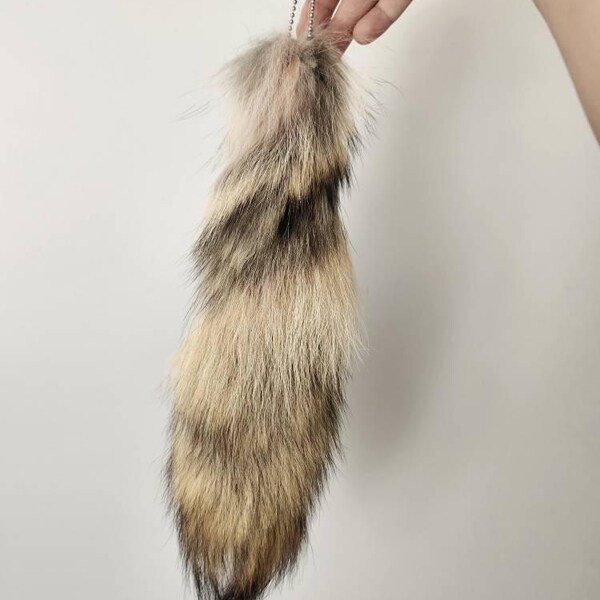 3"-4" Dinosaur Poop Petrified Coprolite Natural Fossil Rock Stone ...