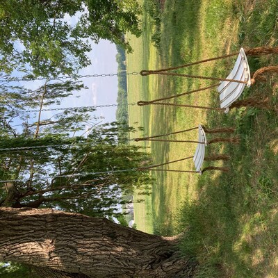 Wildflower Wine Barrel Rope Swing - Etsy