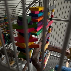 Macaw Ladder, Large Bird Toy - Etsy