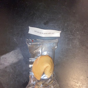 Prom Promposal Fortune Cookies - Etsy