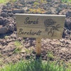 Personalised Wooden Garden Signs Plaque Garden Gift Allotment Vegetable ...