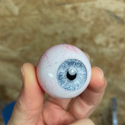 Complete Round Realistic Human Eyeball, Available in 6 Different Colors ...