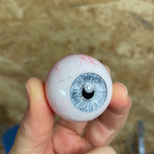 Complete Round Realistic Human Eyeball, Available in 6 Different Colors ...