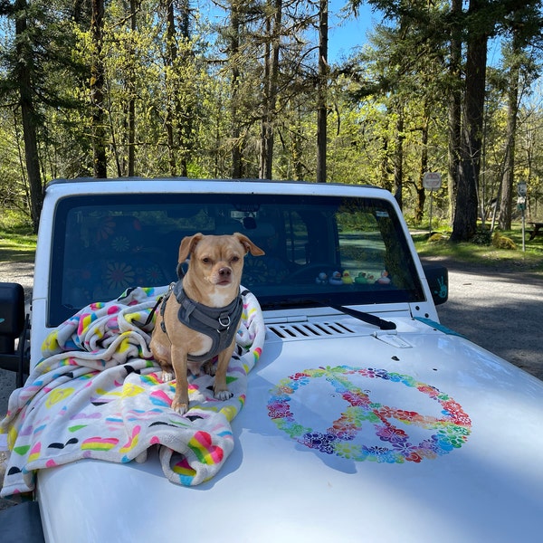 Lilo and Stitch SVG, PNG, Digital Download, Ohana, Cartoon SVG - Etsy