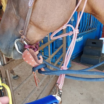 22 Colors Yacht Rope 10 Curb Strap Horse Tack for Use With Snaffle Bits Matches the Slobber ...