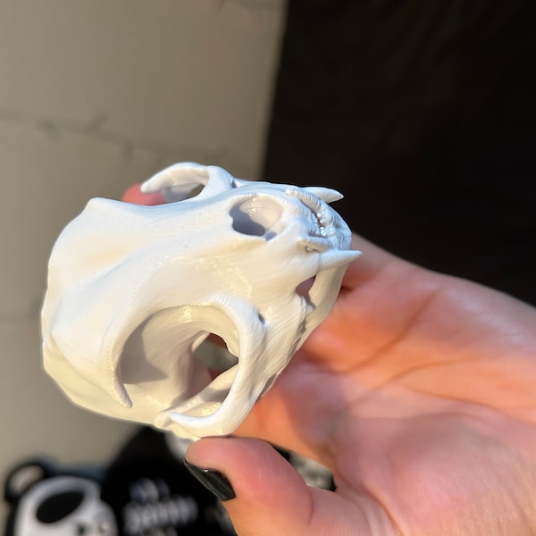 Domestic Cat Skull • Replica Animal Skull • 3D Printed - Etsy