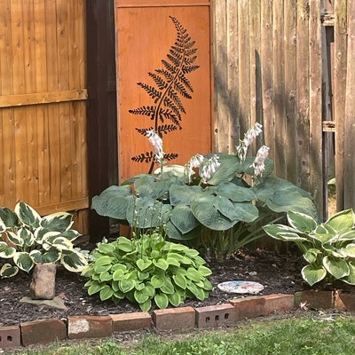 Fern Art Screen Privacy Screen Fern Wall Art Privacy Panel P623 - Etsy