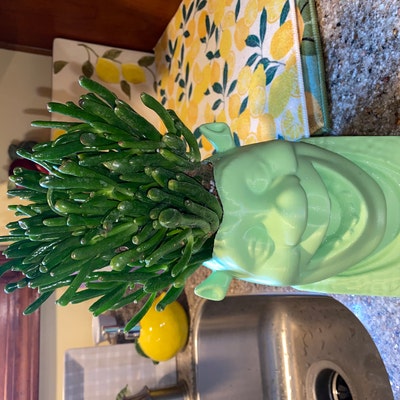 Shrek Planter - Etsy