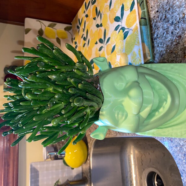 Shrek Planter - Etsy