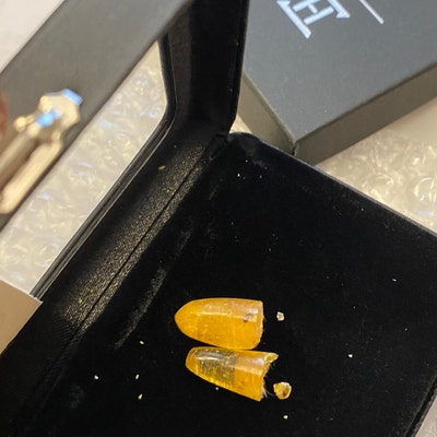 Insects in Copal, Quaternary Period, up to 2.5 Million Years Old - Etsy