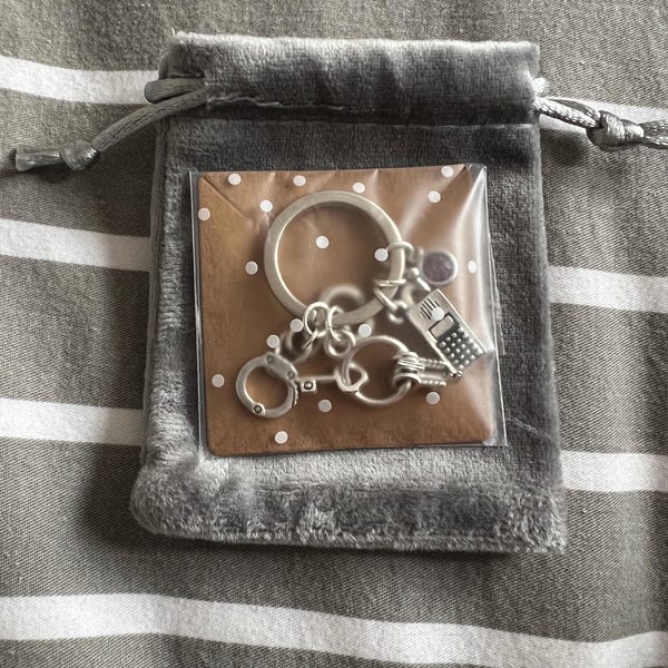 Personalised Border Collie Keyring - Dog Lover Gift, Custom Pet Present ...