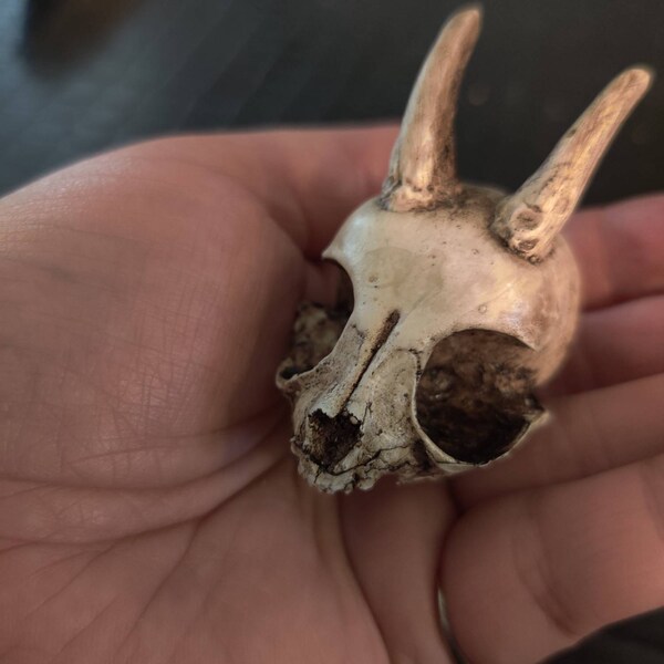 Raven Skull Replica Catalyst Studios Exclusive for Display Costume ...