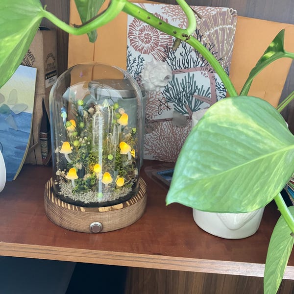 Glowing Crystal Pillars With Healing Properties, Enchanted Forest ...