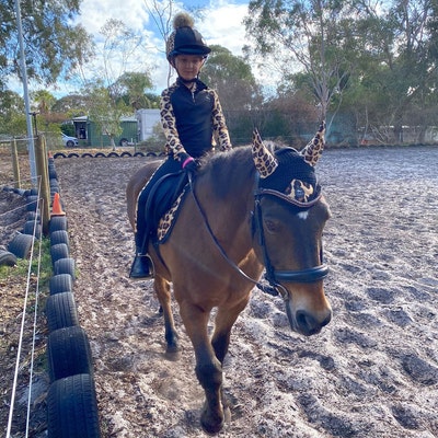 Equestrian White Competition Riding Tights With Sticky Bum Lovely Fit ...