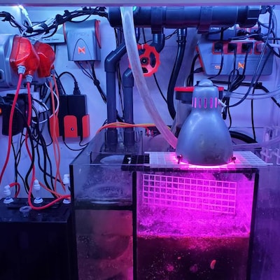 Optical Sensor Mount for Neptune Apex PMUP V2 ATO Pump - Etsy