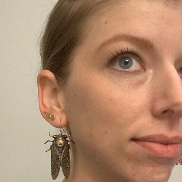 Cicada Earrings With Gold Filled Ear Wires and Golden Brass Cicada ...