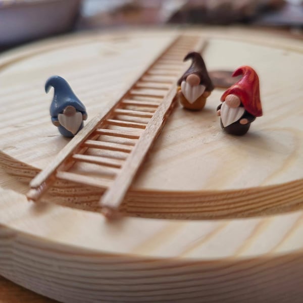 Custom Roaming Gnome Figurines Good Luck Gnomes Fairy Garden Figures ...