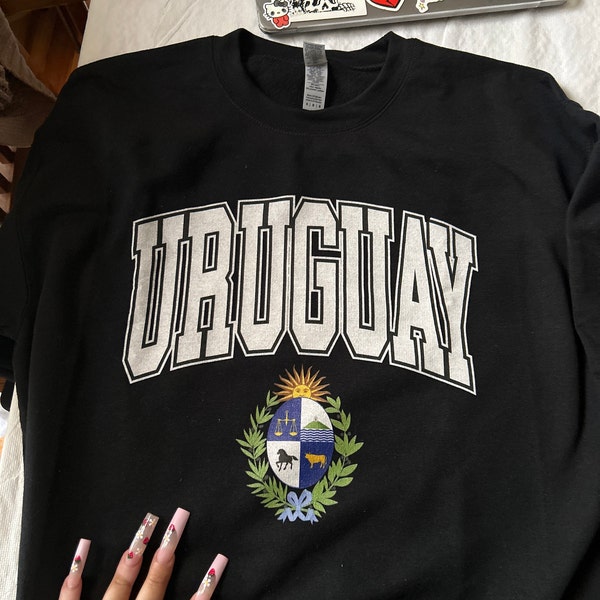 Moldova Sweatshirt,moldova Flag Sweater,soft Cozy Moldova College ...