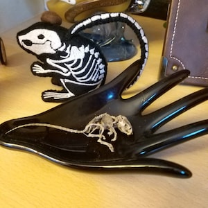 Genetically Engine-eared Vacanti Mouse, Vegan Faux Taxidermy ...