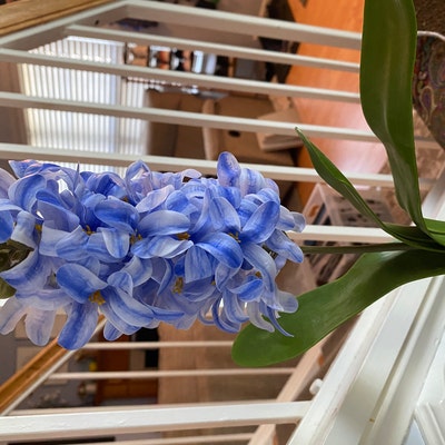 6 Real Touch Angel Trumpet Flowers - Etsy