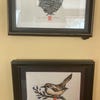 Blue Wren Wren, Original Linocut, Hand-pulled Print, Jenny Wren, Bird ...