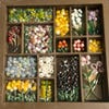 Wooden Curiosity Cabinet Printer Tray Letterbox Display, Rock Display ...