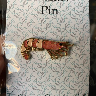 Shrimp Hard and Soft Enamel Pin With Glitter - Etsy