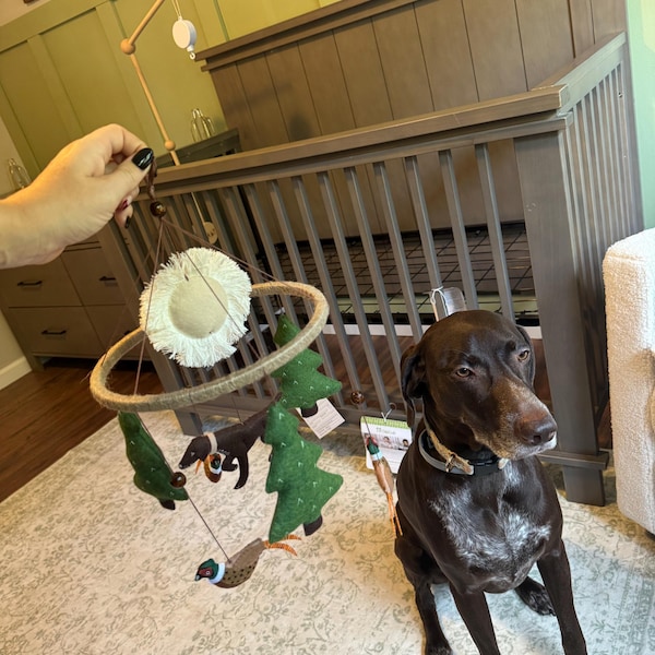 Duck Mobile for Crib, Mallard Duck Nursery Decor, German Shorthaired ...