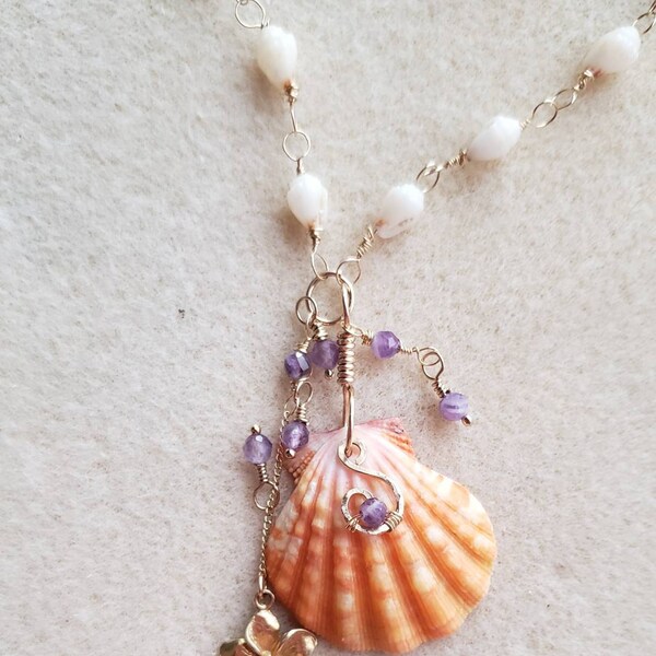 Miniature Small Crafting Seashells From Hawaii Assorted Whole Shells ...
