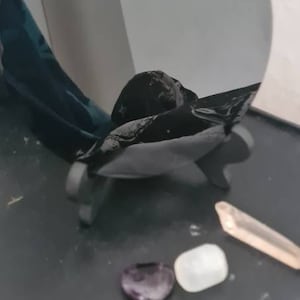Amphibole Quartz / Angel Wing Phantom Quartz / Hematite Point 84g 8 ...