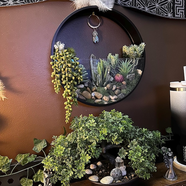 Wall Terrarium Kit - Etsy