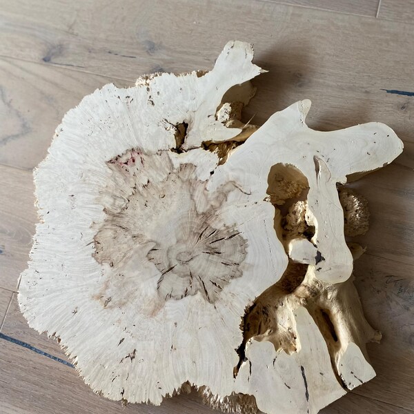 Maple Burl Wood. Big Leaf Maple Burl Resin Slab. Live Edge Wood. Burl ...