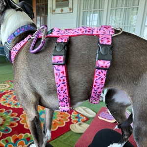 Dog Anti Escape Harness, Triple Harness, Safe Harness, Dog Harness ...